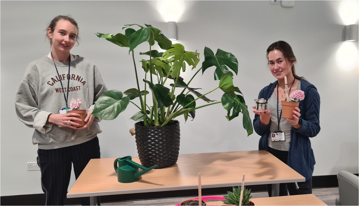 Volunteer for QEF - QEF