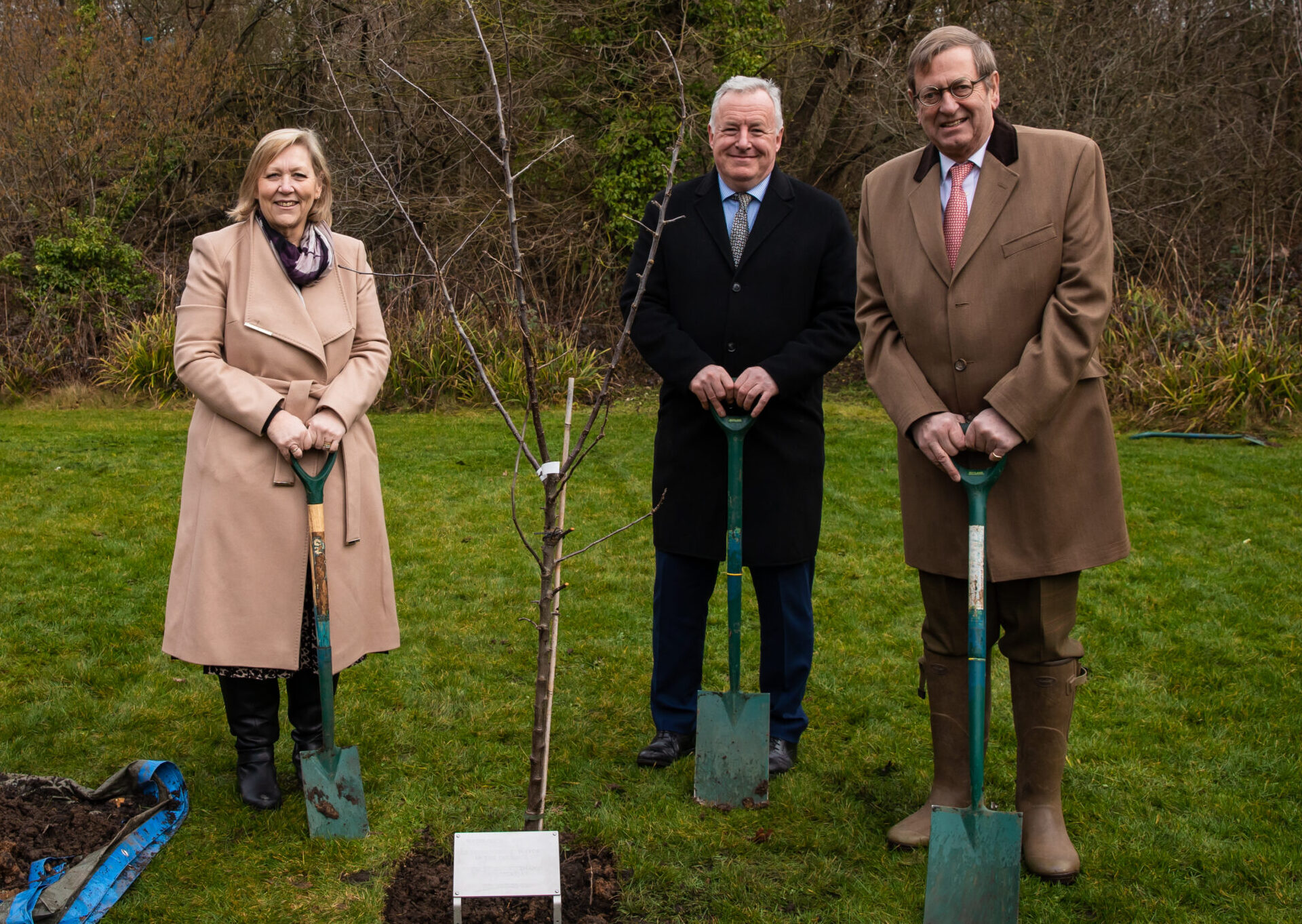 Volunteers plant 250 trees at Surrey charity to benefit people ...
