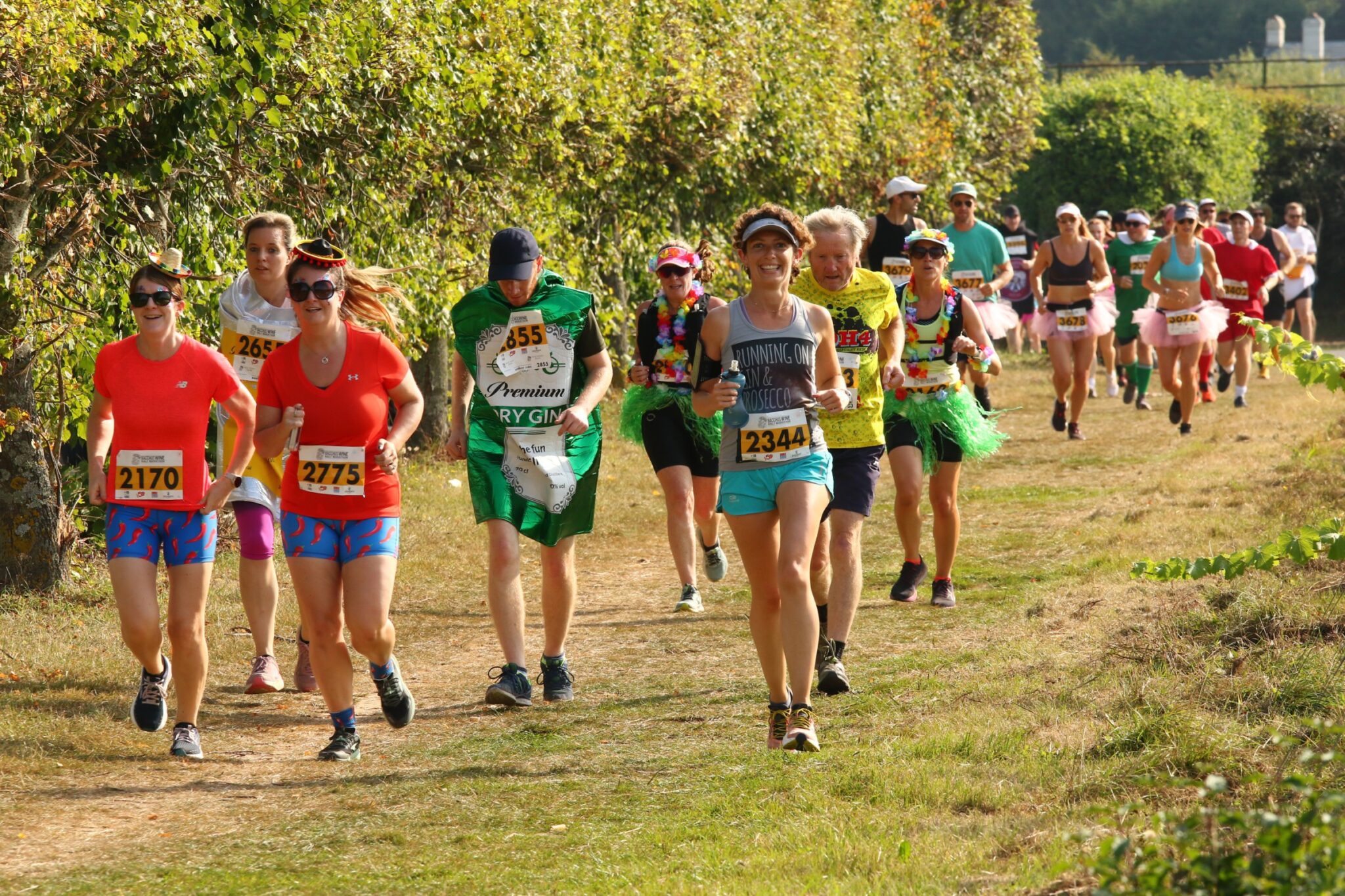 Bacchus Wine Half Marathon and 10K 2025, Denbies - QEF