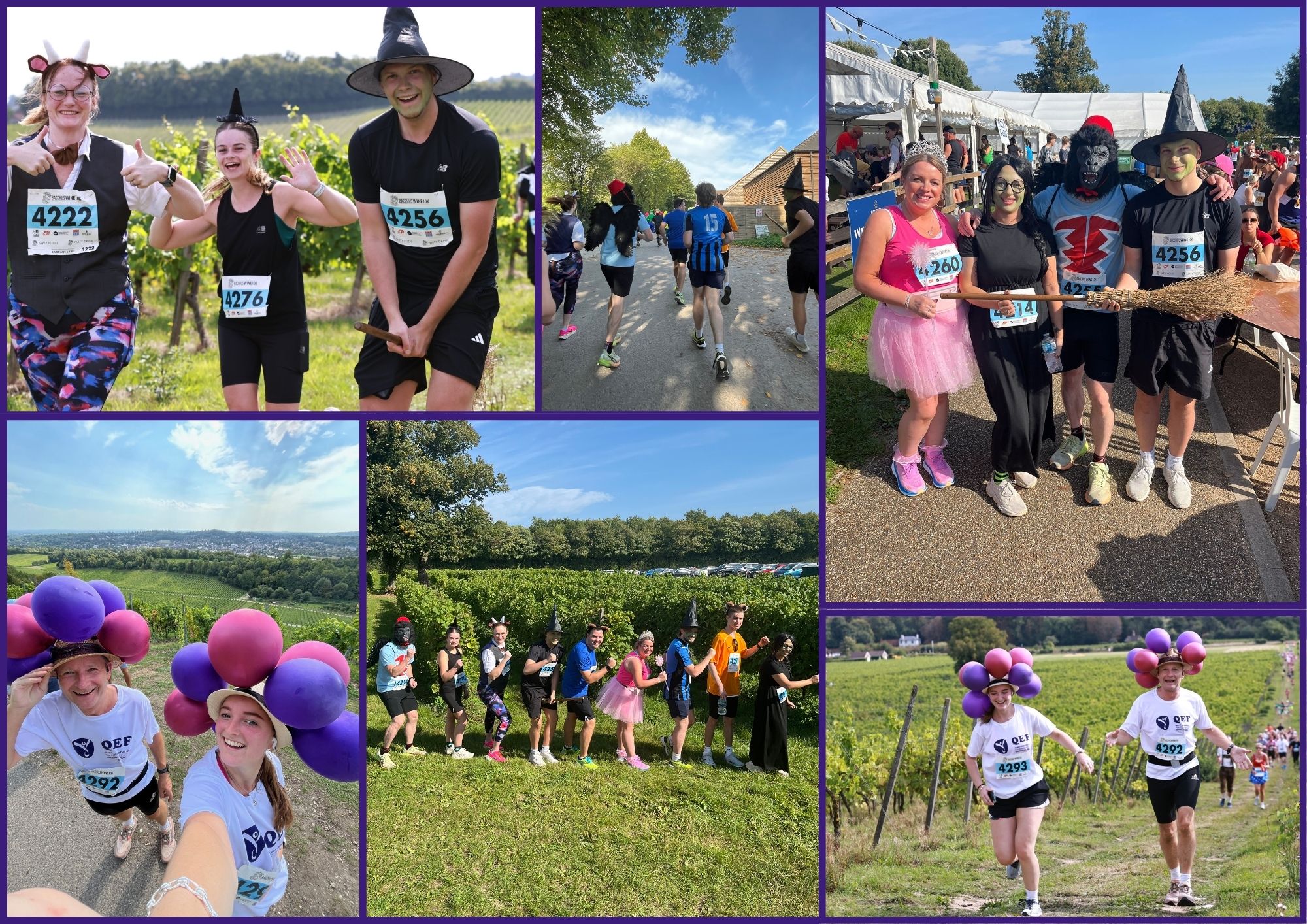 Bacchus Wine Half Marathon and 10K 2026, Denbies - QEF